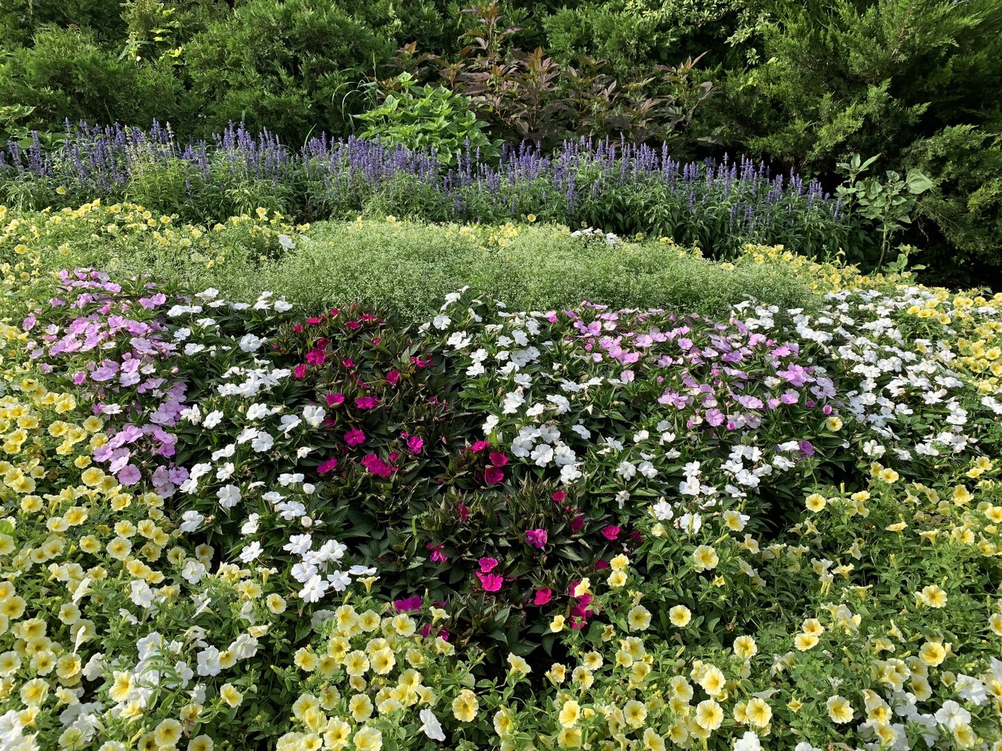 June | Nebraska Extension in Lancaster County | Nebraska