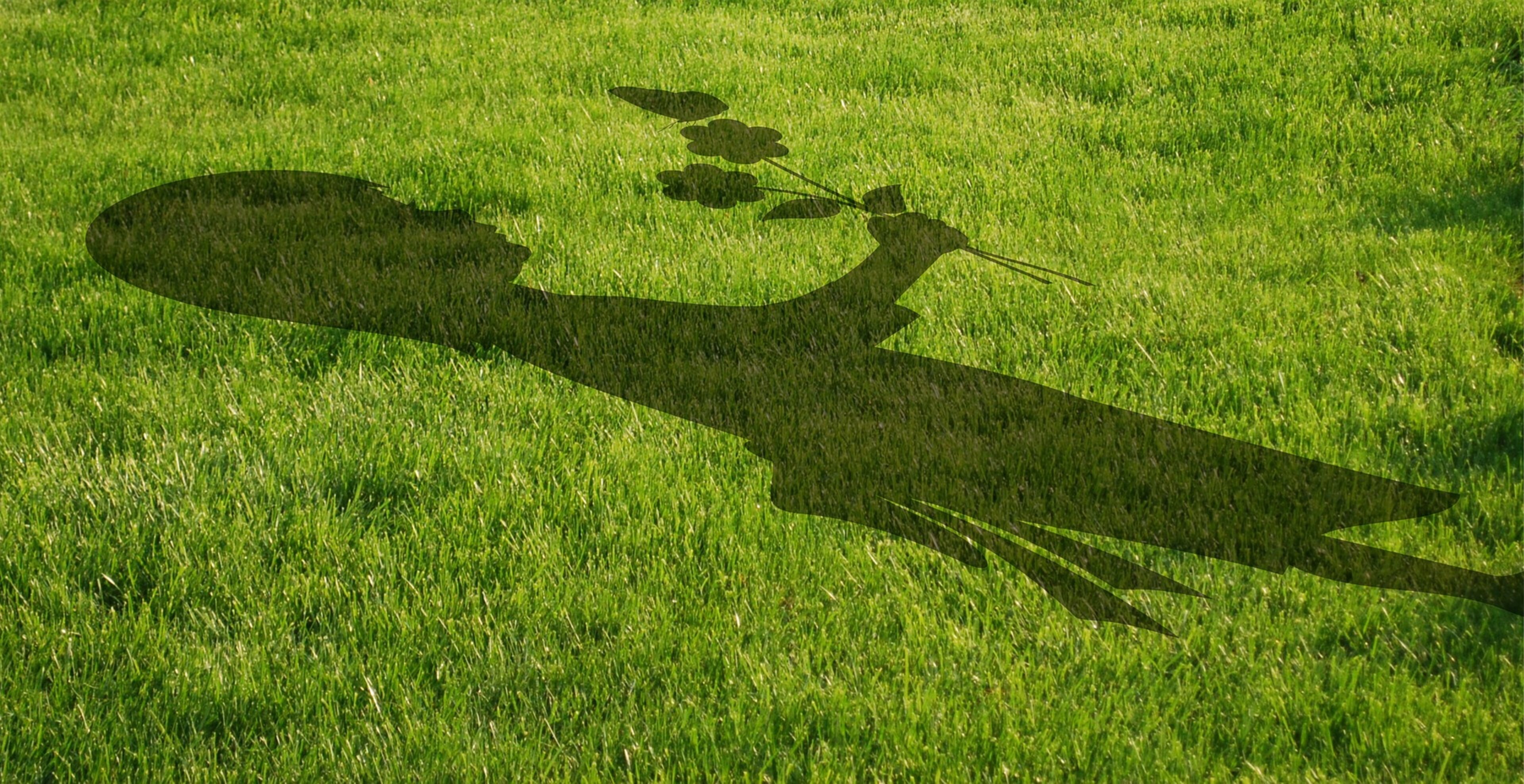 Spring Preemergence Weed Control Applications | Nebraska Extension in ...